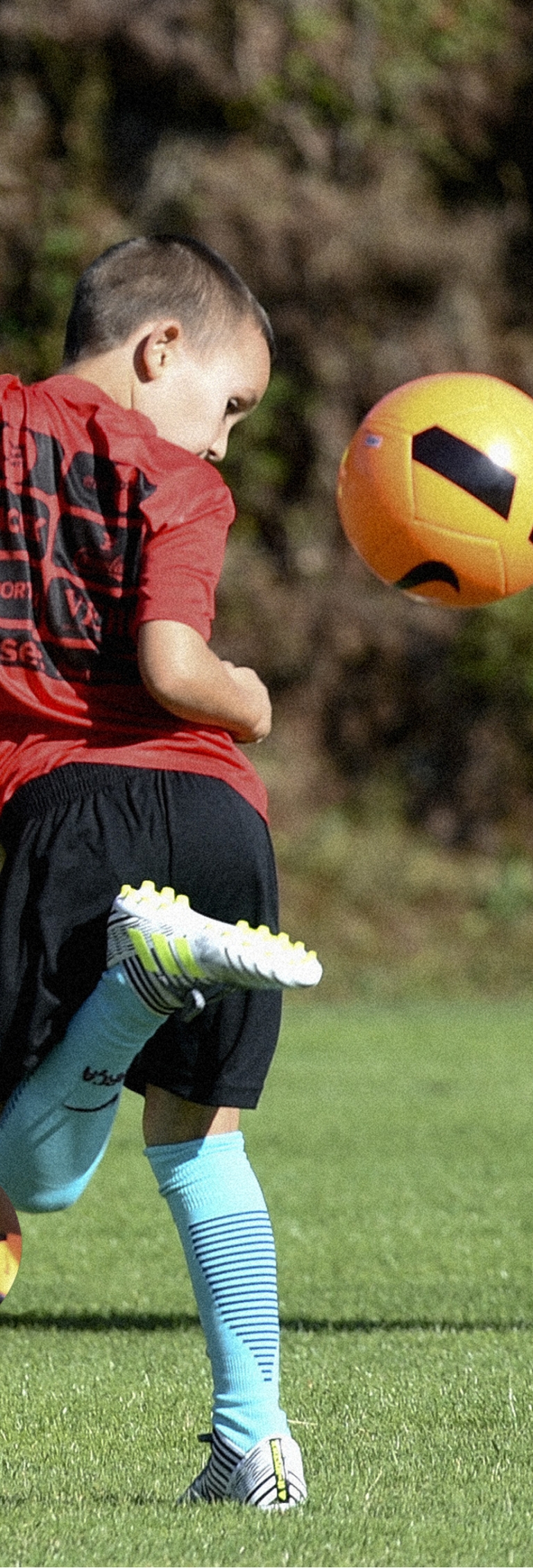 Guardiola Sala Foundation